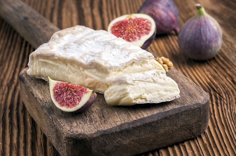 Ateliers/Cours de fabrication de fromage maison