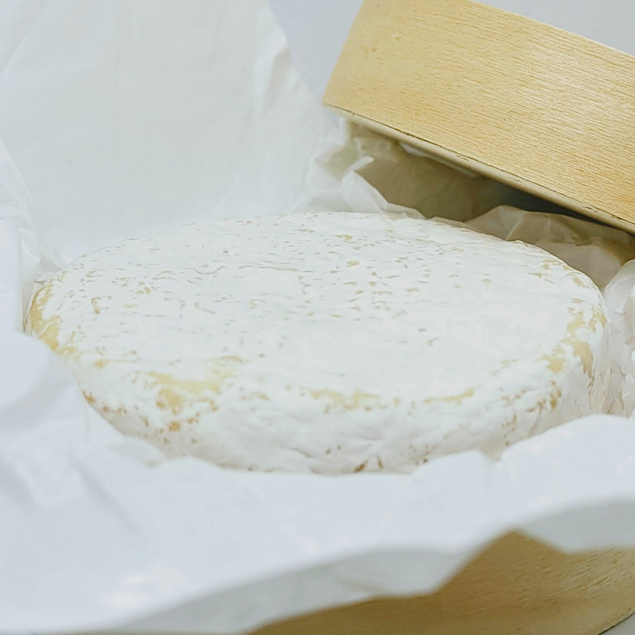 Boite à fromage 10.4 cm (x6)